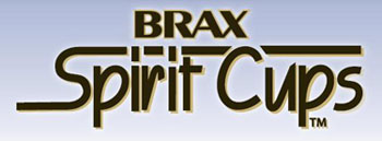 St Louis Cardinals 50/50 Drawing | semashow.com